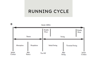 Biomechanics of running by Dr. Sachi mevada ( Masters in Physiotherapy ...