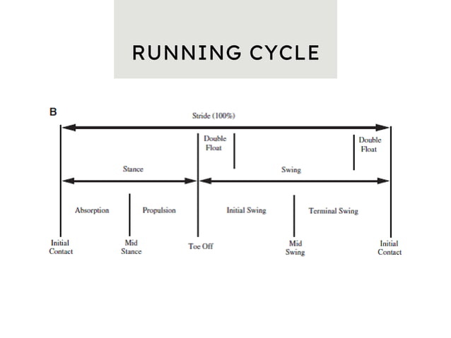 Biomechanics of running by Dr. Sachi mevada ( Masters in Physiotherapy ...