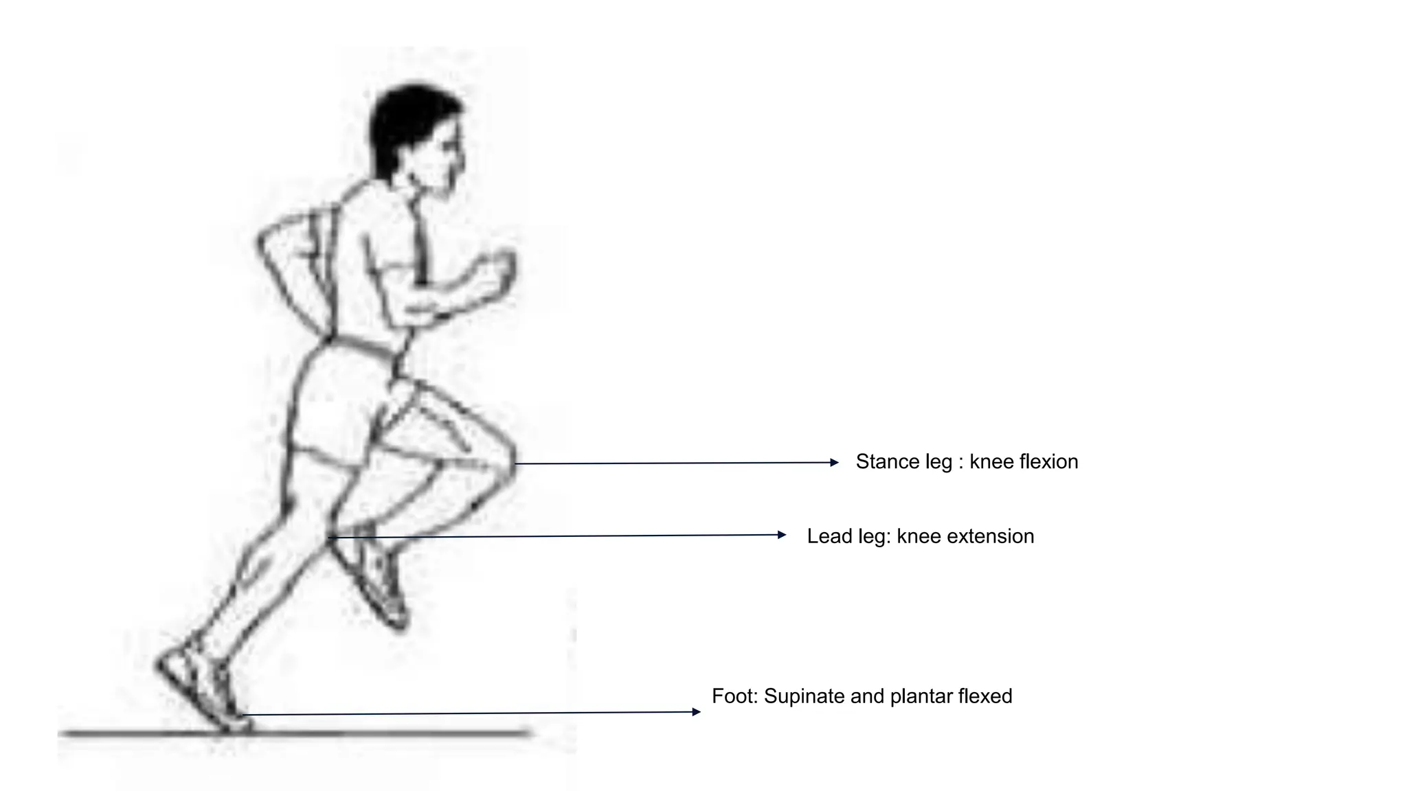 biomechanics of running. Dr.dhwani.pptx