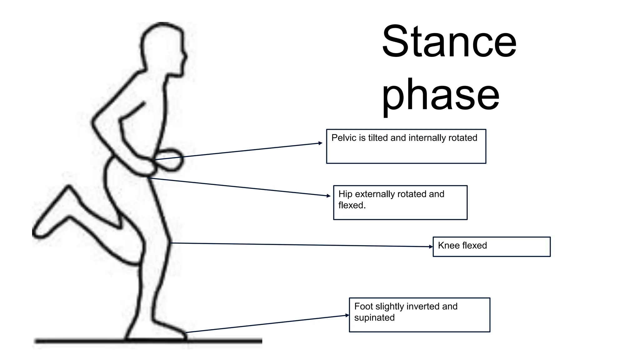 biomechanics of running. Dr.dhwani.pptx
