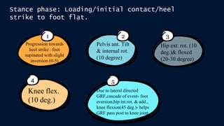 biomechanics of running. Dr.dhwani.pptx