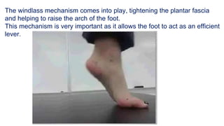 biomechanics of running. Dr.dhwani.pptx