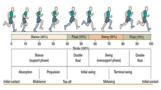 biomechanics of running. Dr.dhwani.pptx