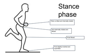 biomechanics of running. Dr.dhwani.pptx