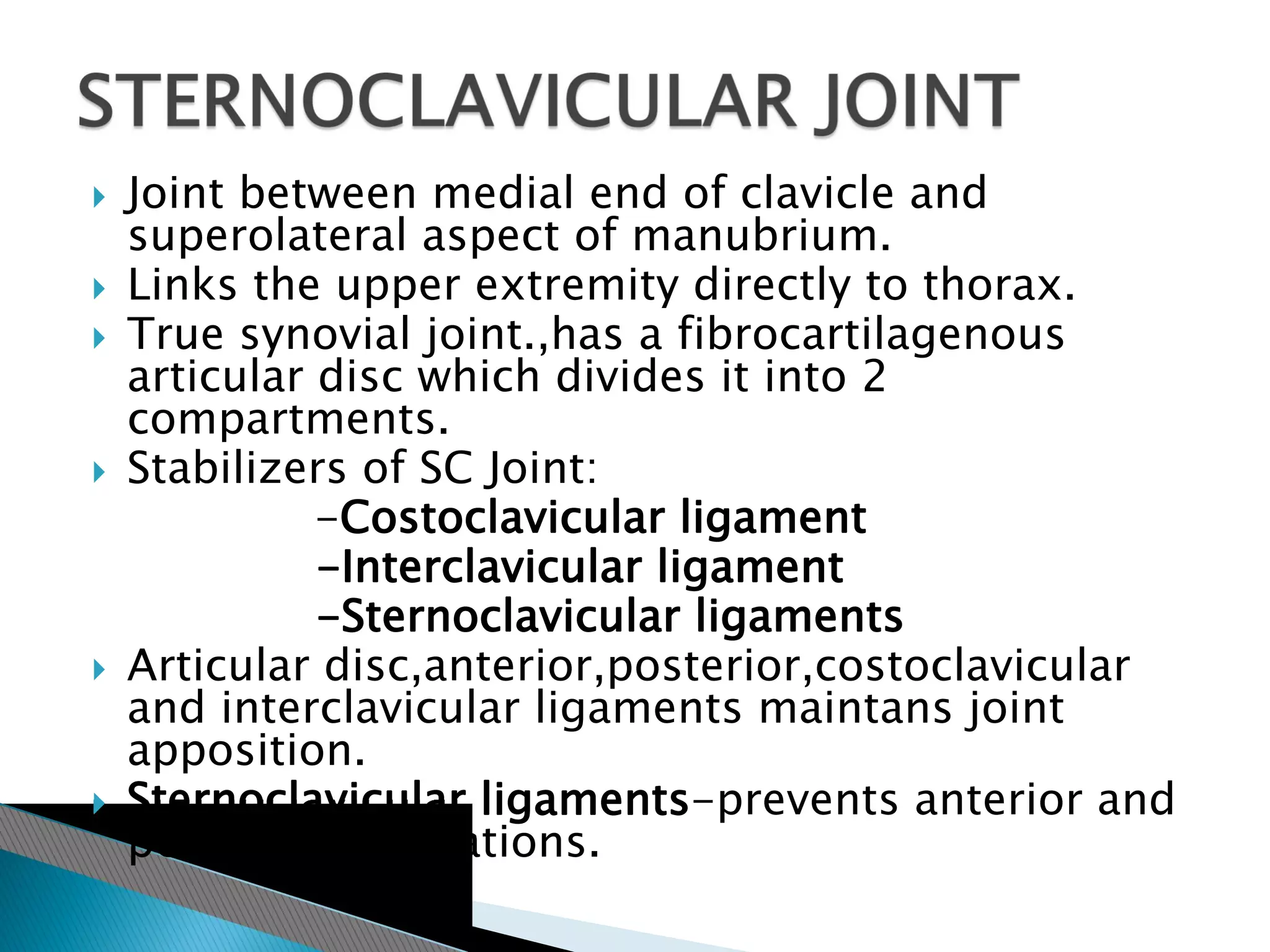 Biomechanics of shoulder | PDF