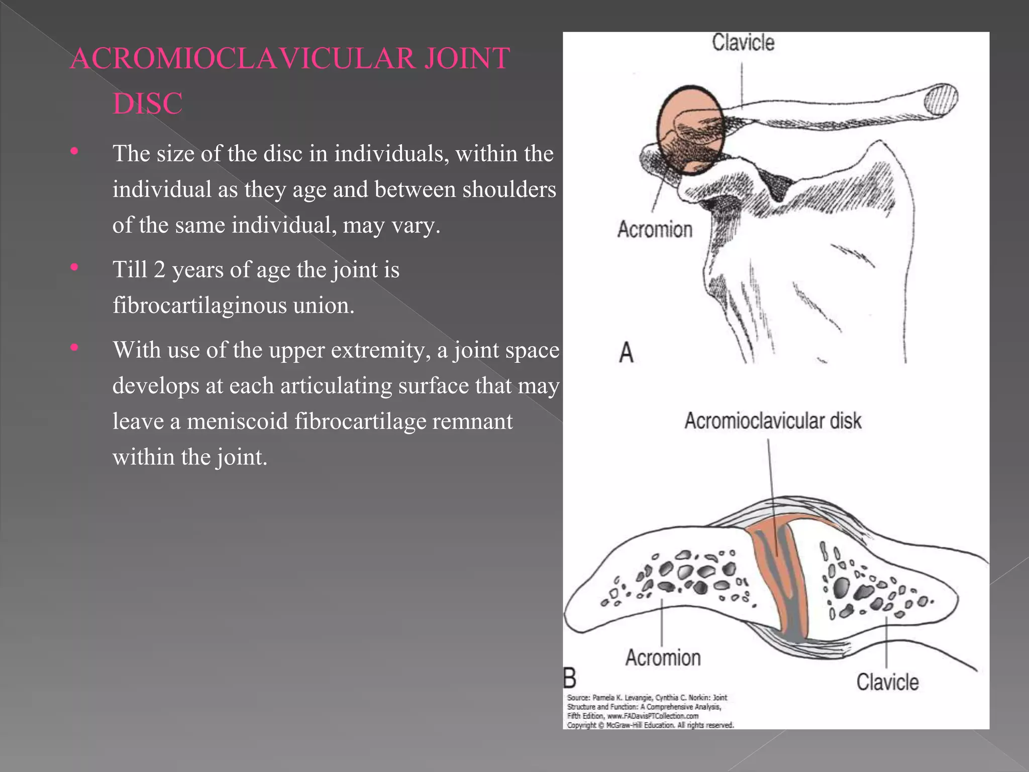 Biomechanics of shoulder | PPTX