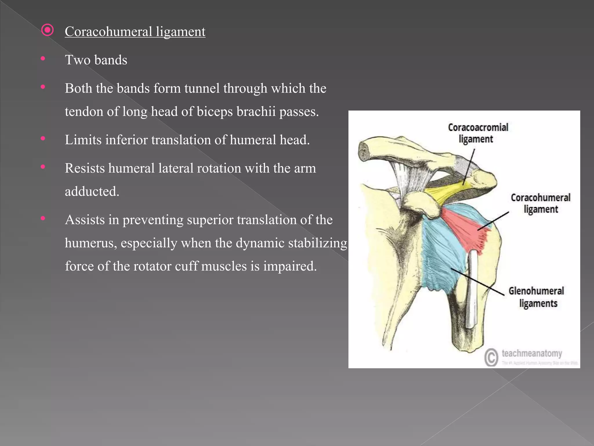 Biomechanics of shoulder | PPTX