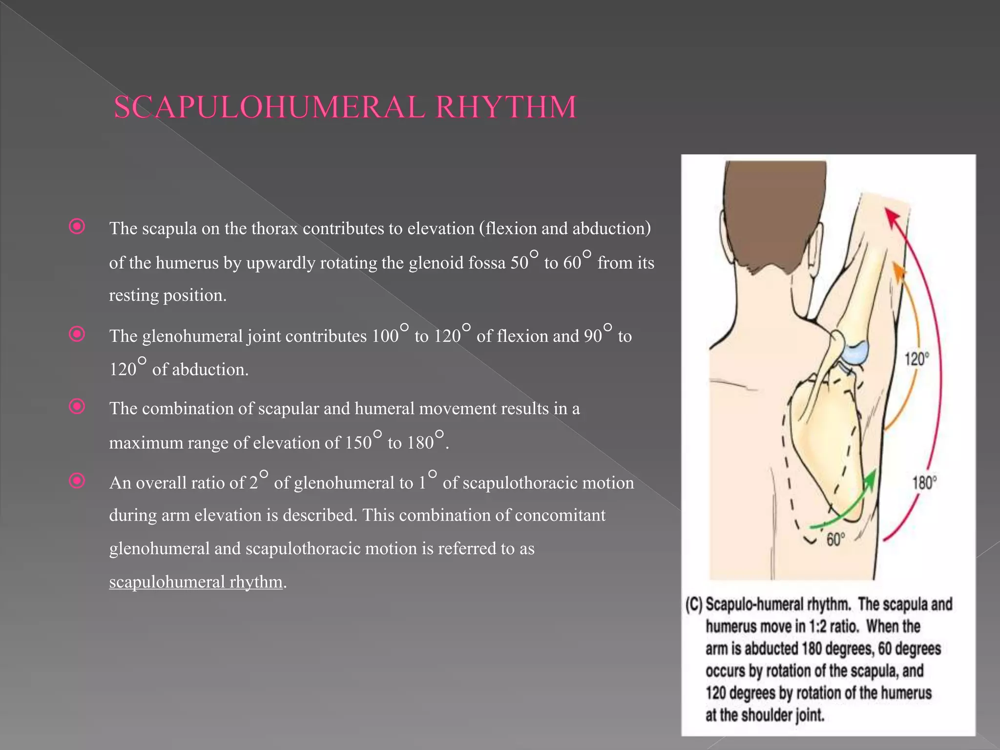 Biomechanics of shoulder | PPTX