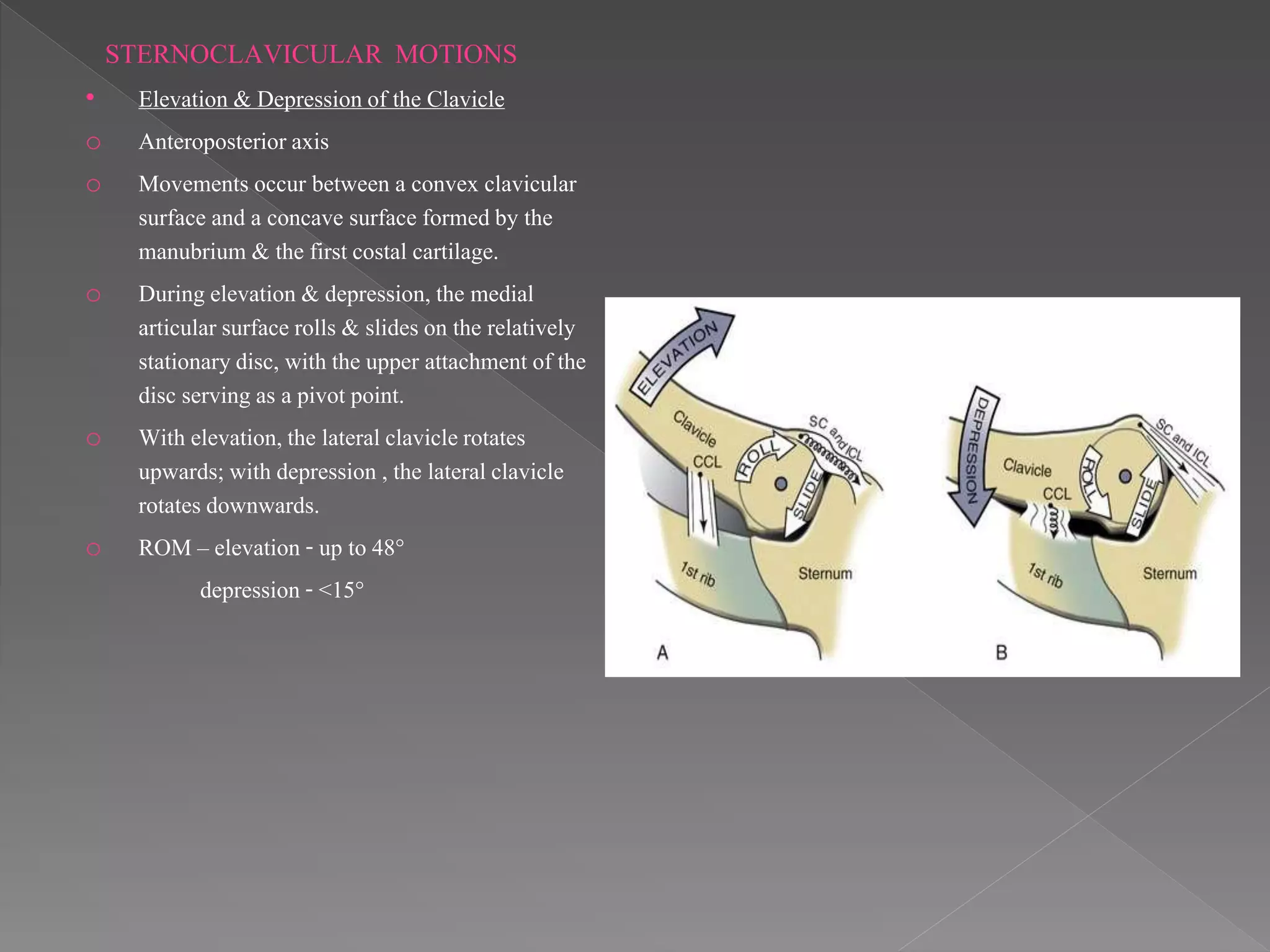 Biomechanics of shoulder | PPTX