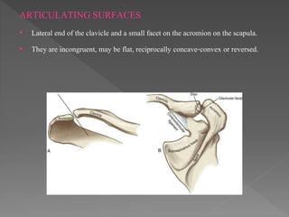 Biomechanics of shoulder | PPTX