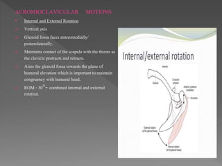 Biomechanics of shoulder | PPTX