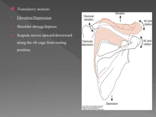 Biomechanics of shoulder | PPTX