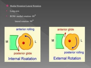 Biomechanics of shoulder | PPTX