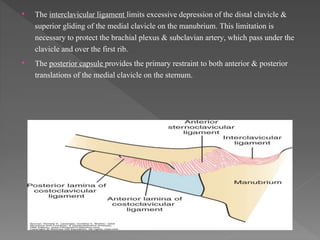 Biomechanics of shoulder | PPTX