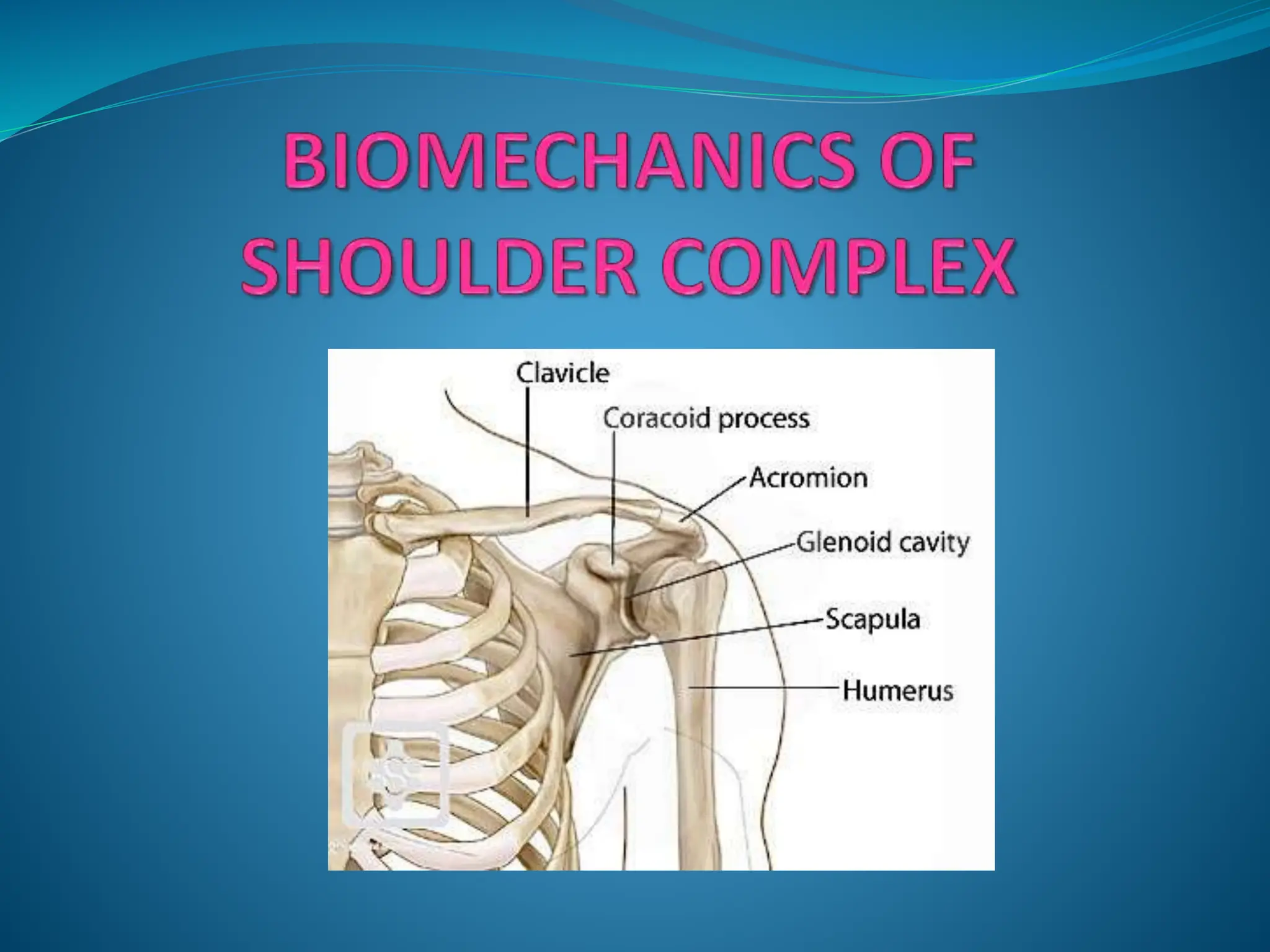 BIOMECHANICS OF SHOULDER .pptx