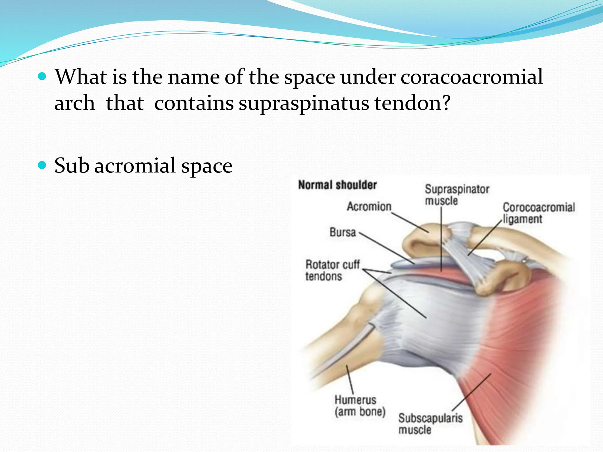 BIOMECHANICS OF SHOULDER .pptx