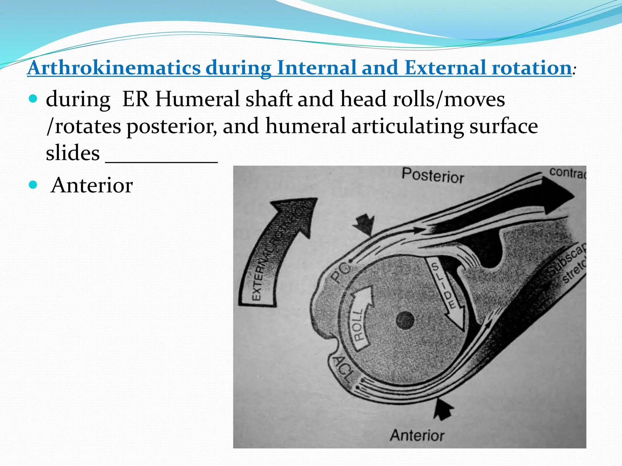 BIOMECHANICS OF SHOULDER .pptx