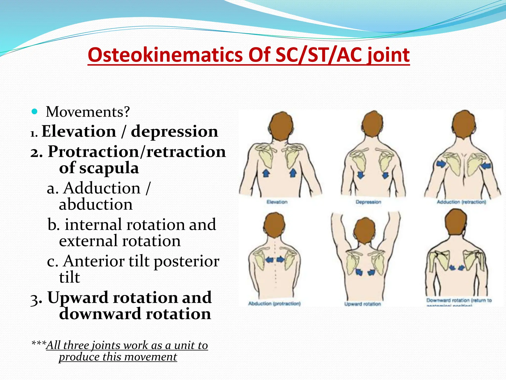 BIOMECHANICS OF SHOULDER .pptx