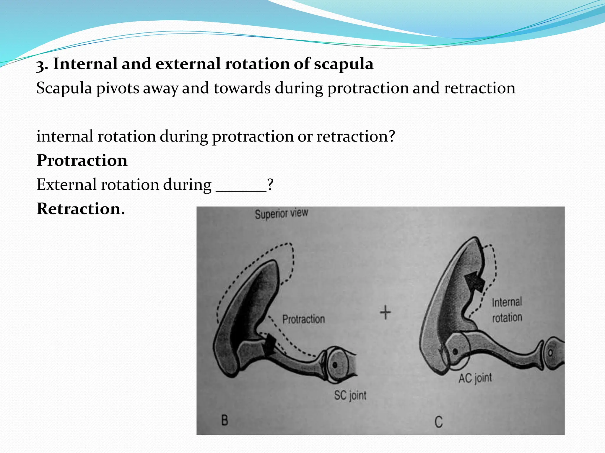 BIOMECHANICS OF SHOULDER .pptx