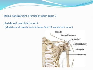 BIOMECHANICS OF SHOULDER .pptx