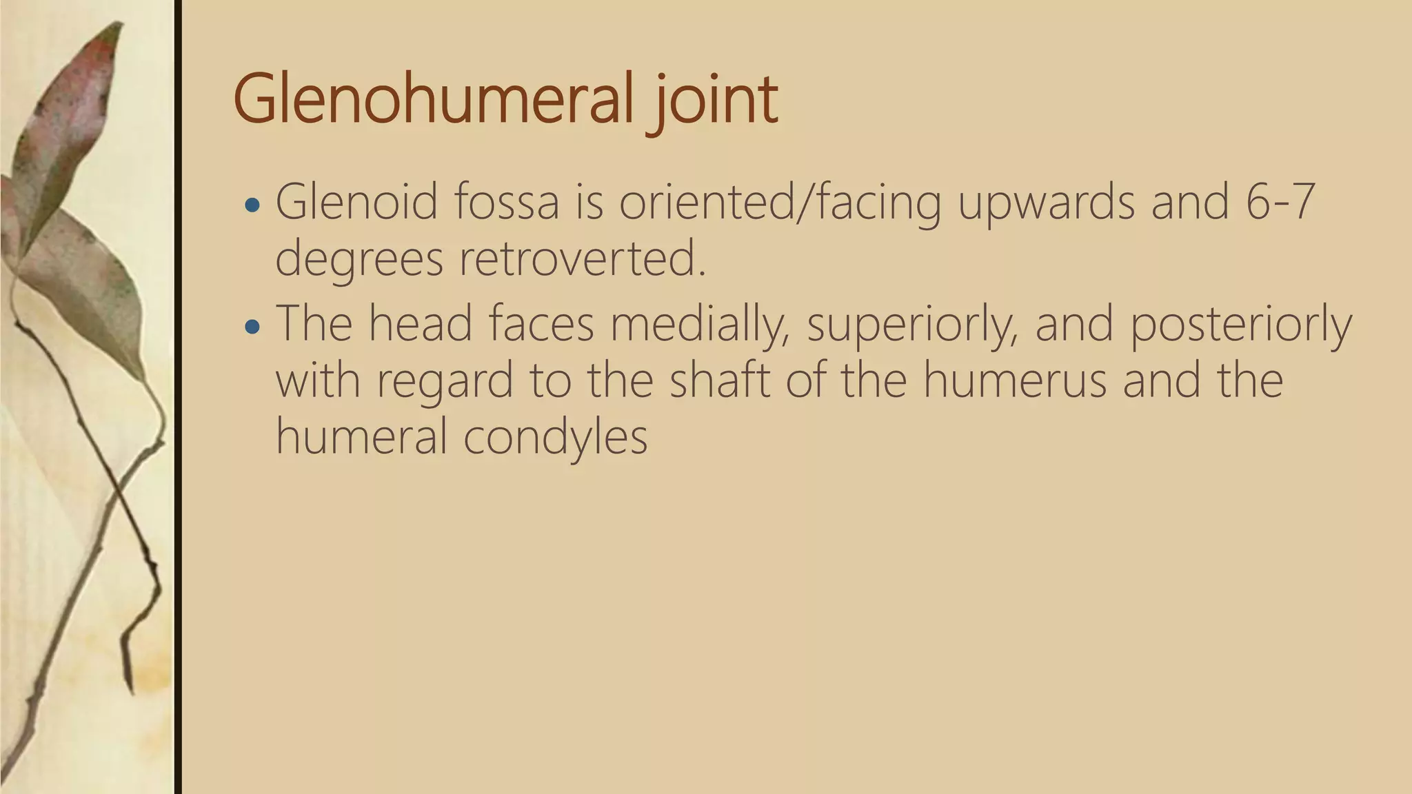 Biomechanics of shoulder complex | PPTX