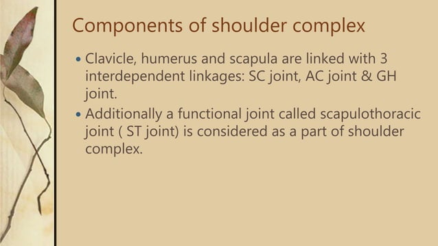Biomechanics of shoulder complex | PPTX