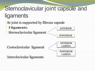 biomechanics of shoulder joint complex.pptx