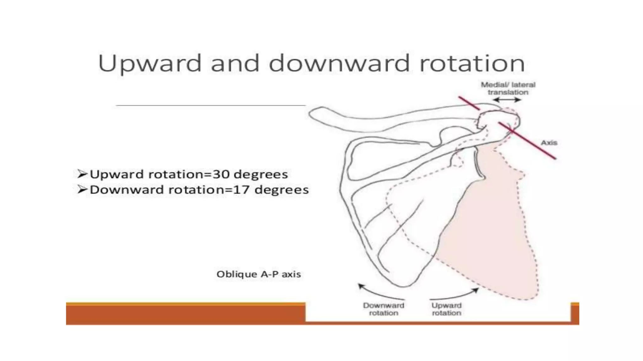 Biomechanics of the shoulder joint complex.pptx