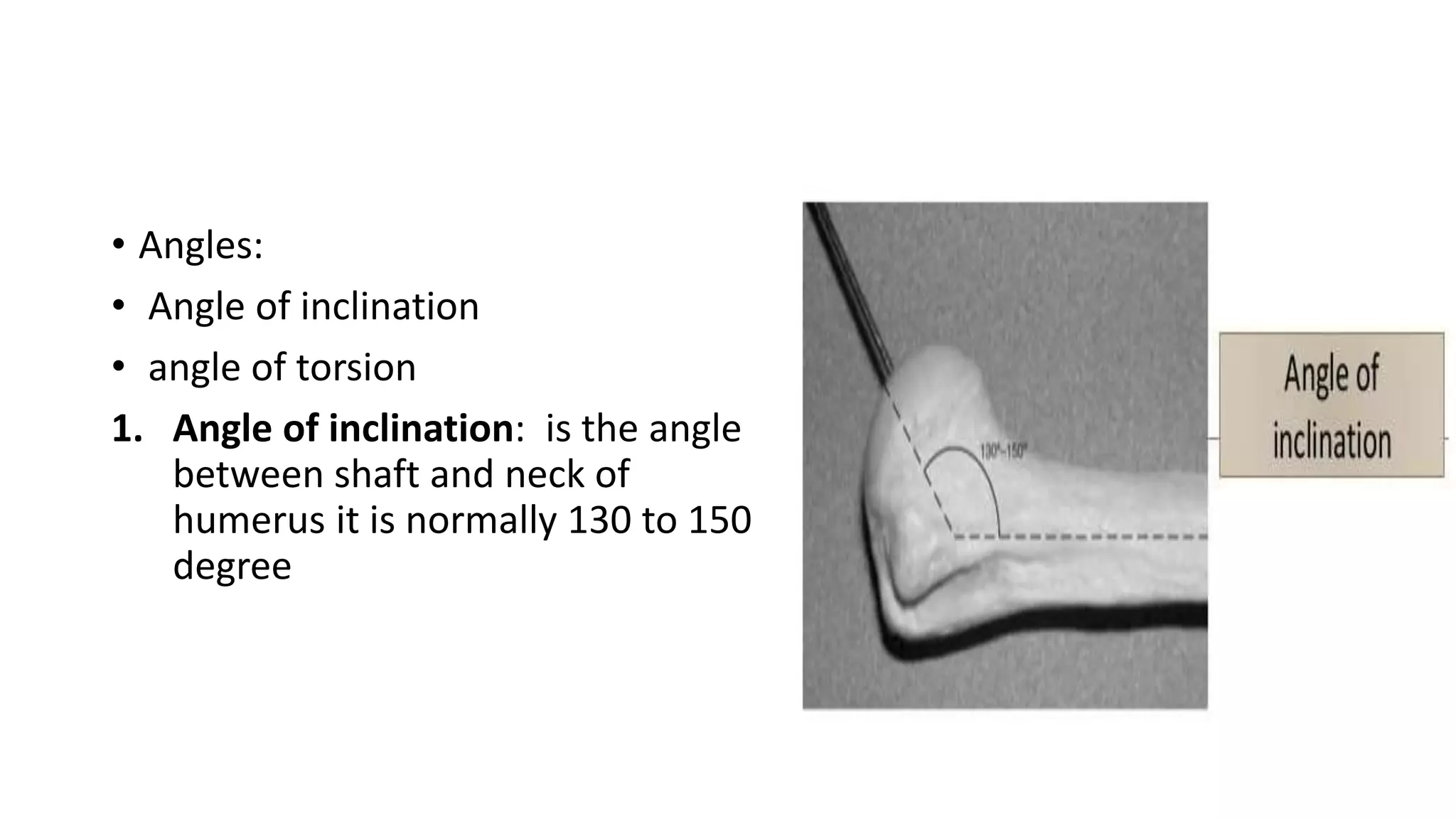 Biomechanics of the shoulder joint complex.pptx