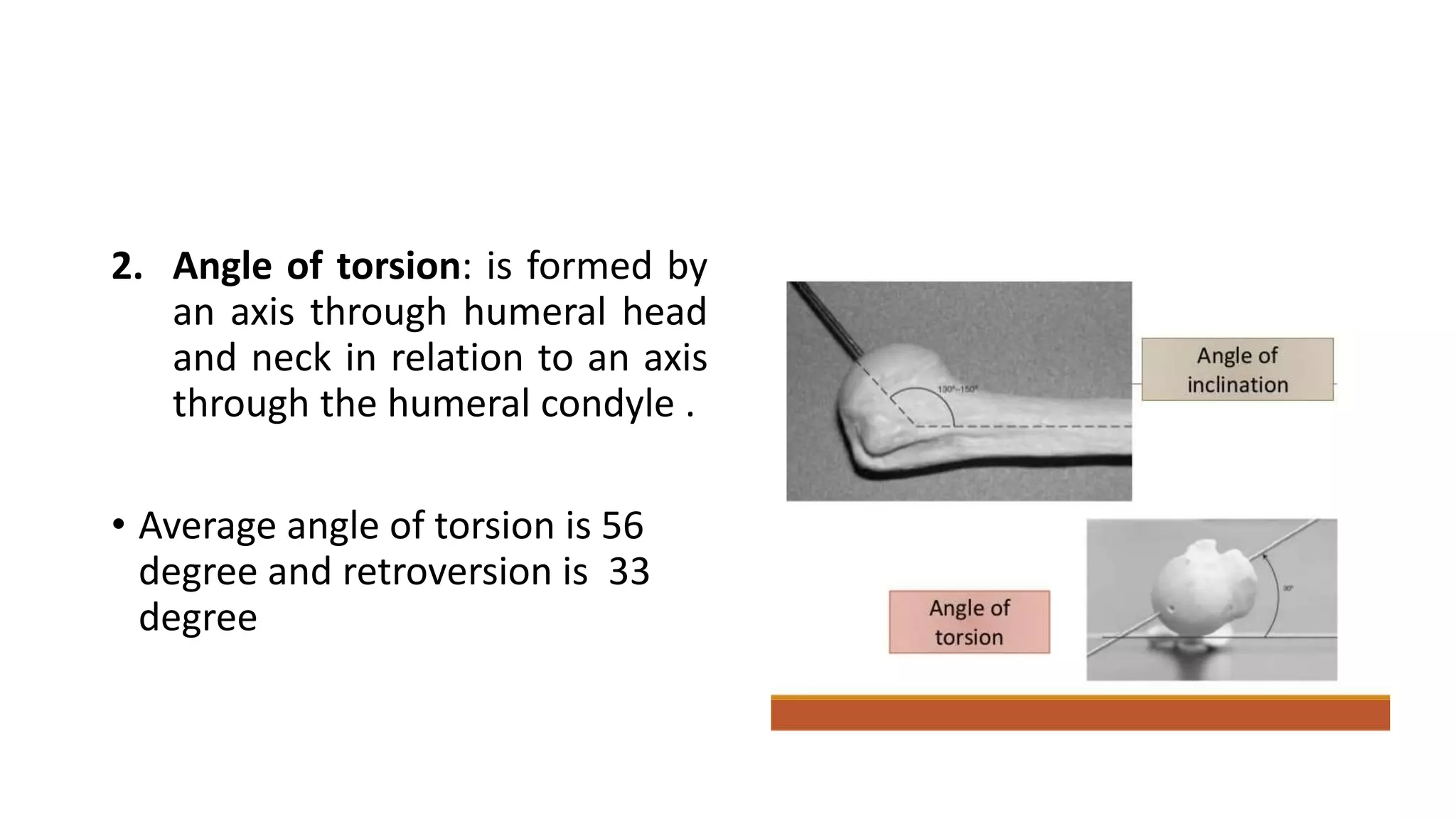 Biomechanics of the shoulder joint complex.pptx
