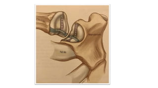 Biomechanics of the shoulder joint complex.pptx