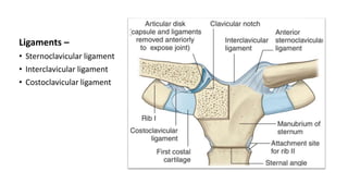 Biomechanics of the shoulder joint complex.pptx