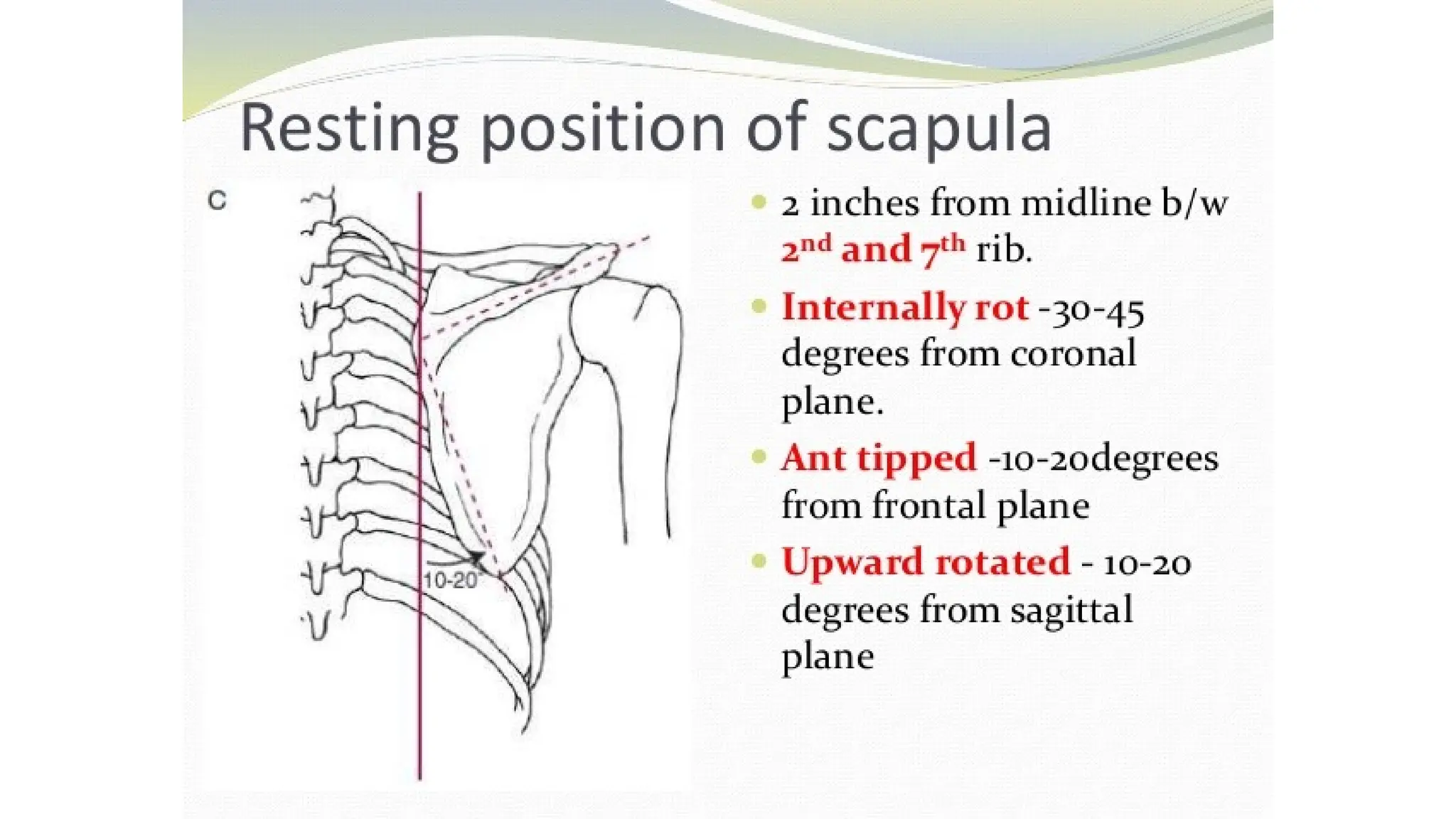 Biomechanics of shoulder joint complex.pptx