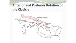 Biomechanics of shoulder joint complex.pptx