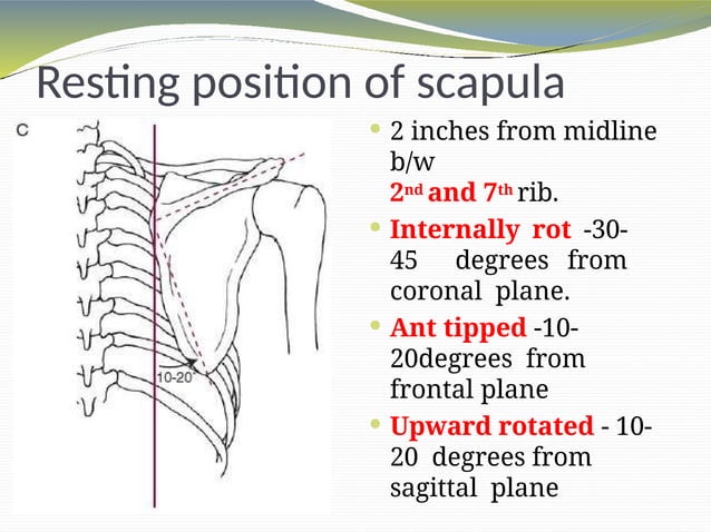 biomechanicsofshoulderug-160301061851.pptx