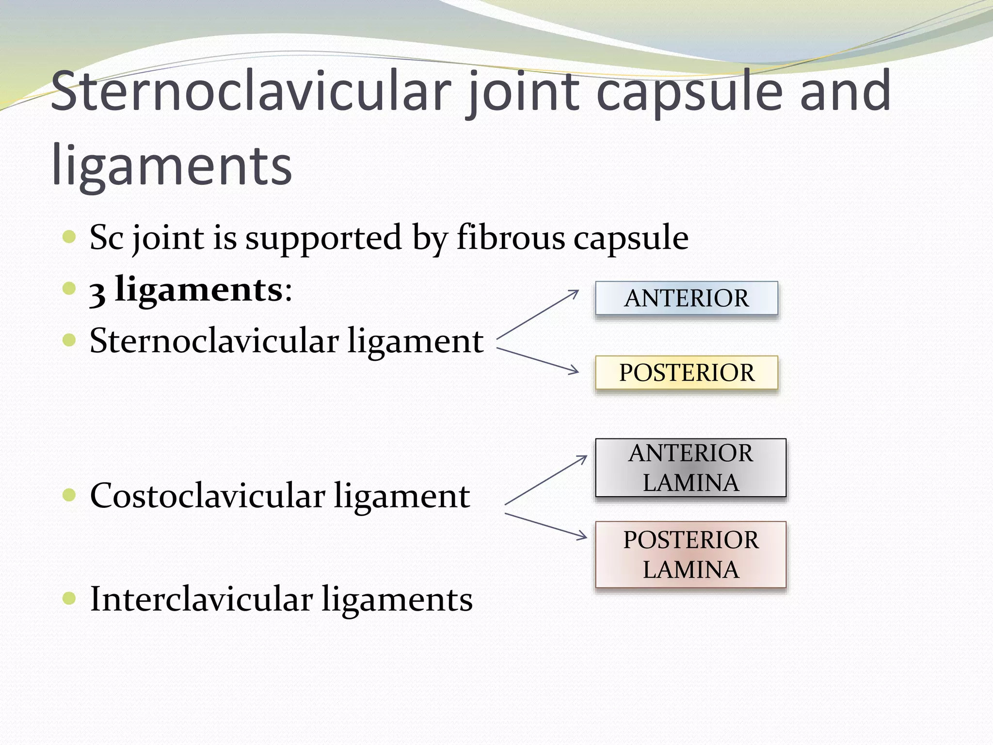 Biomechanics of shoulder complex | PPTX