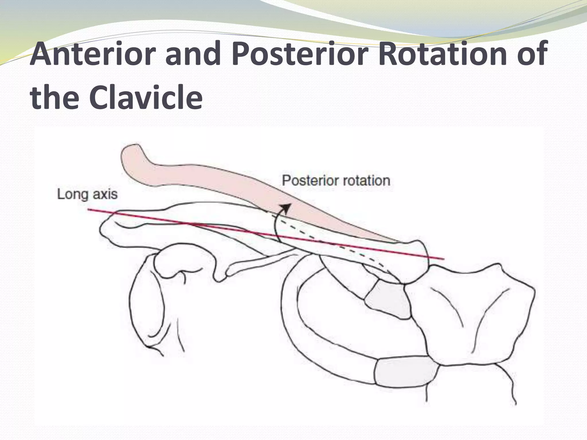 Biomechanics of shoulder complex | PPTX