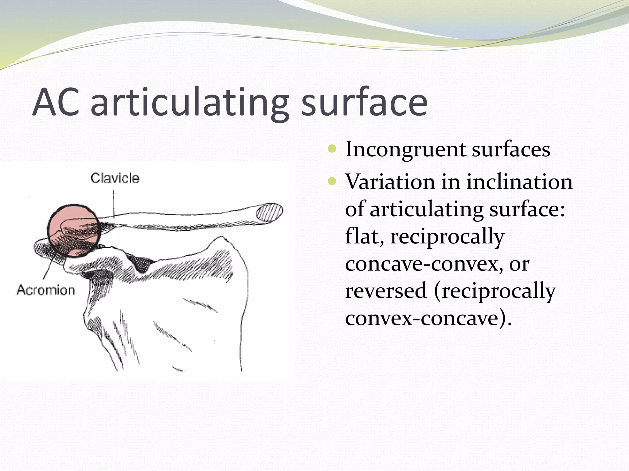 Biomechanics of shoulder complex | PPTX