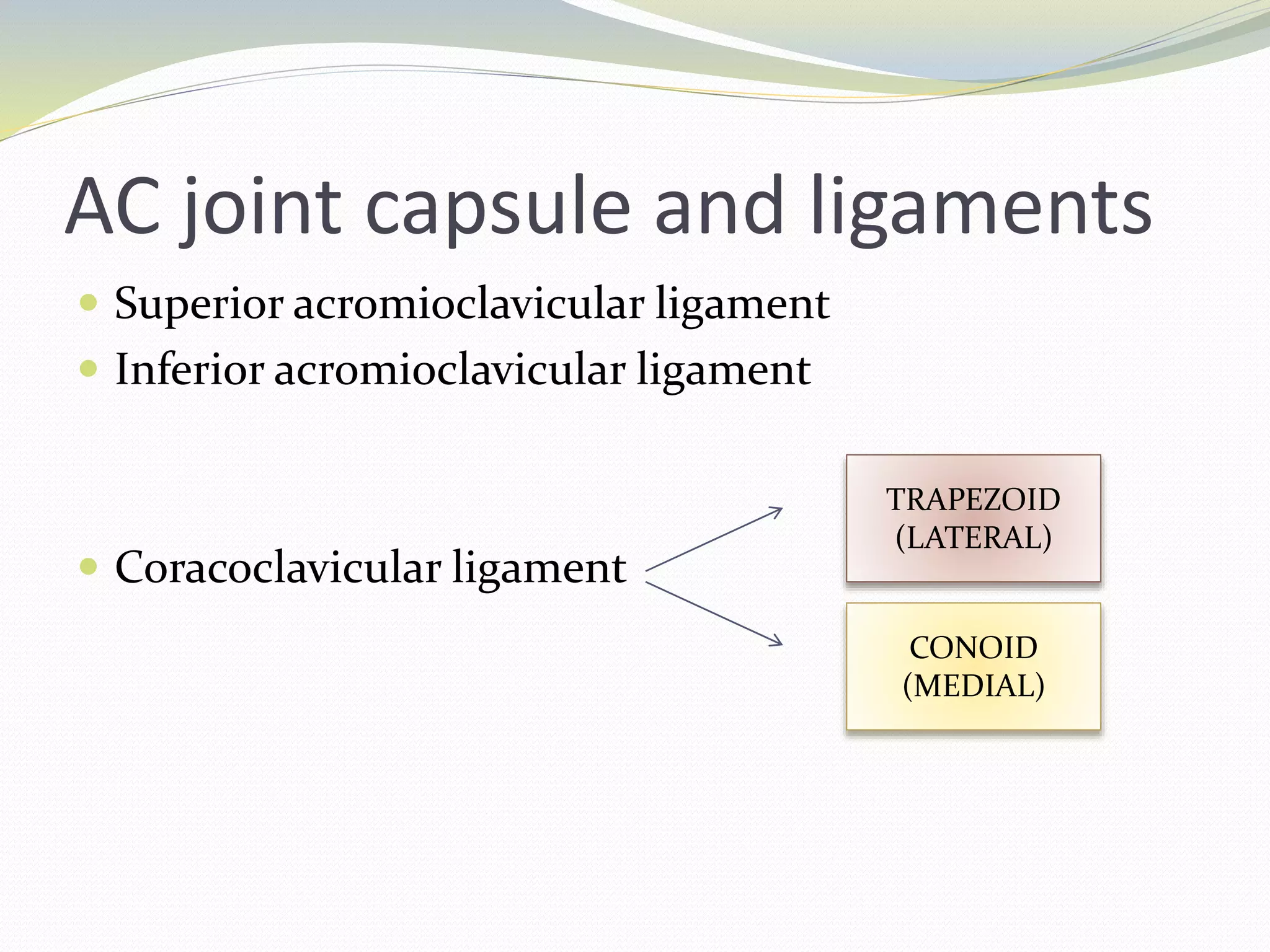 Biomechanics of shoulder complex | PPTX