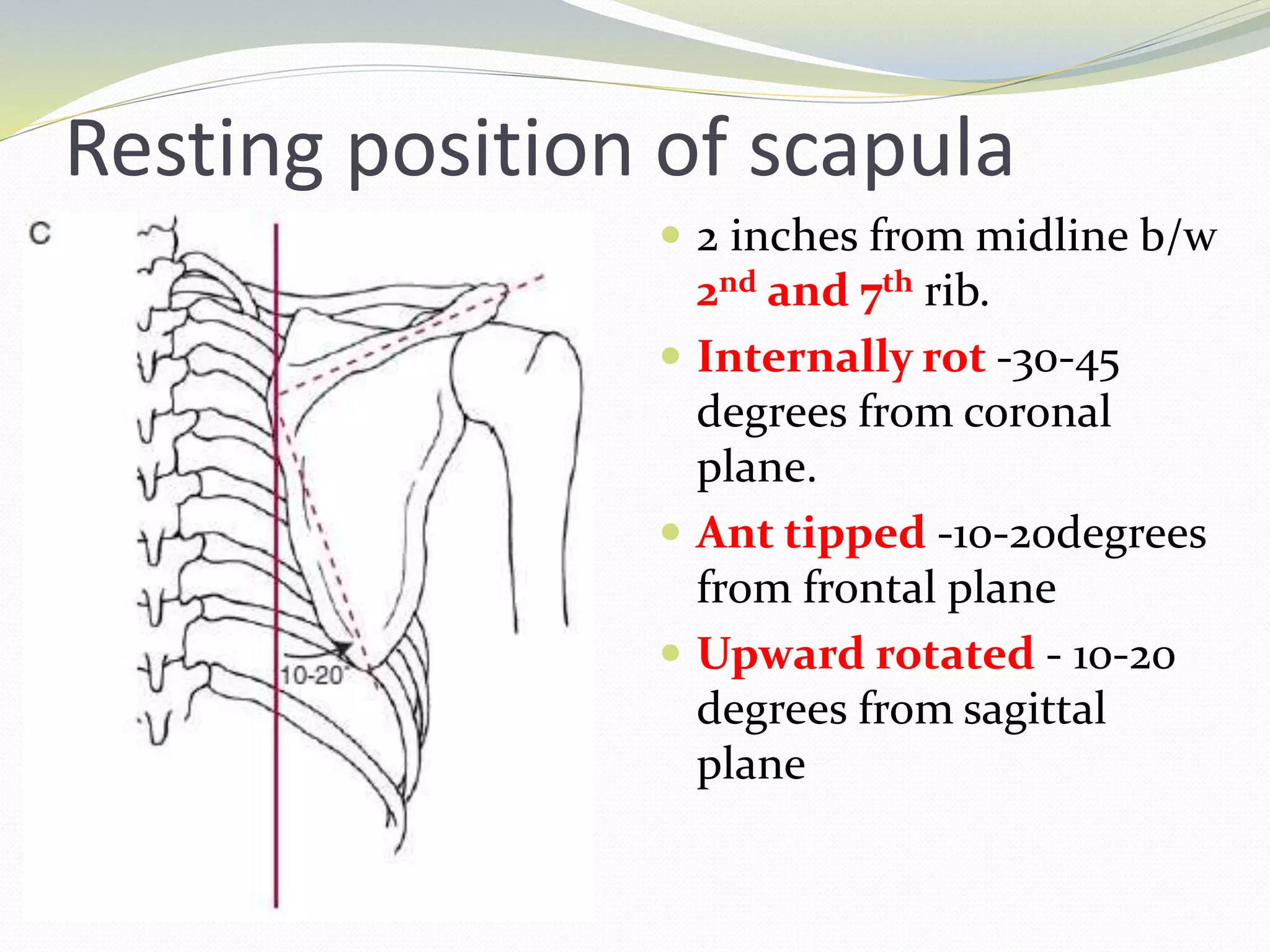 Biomechanics of shoulder complex | PPTX