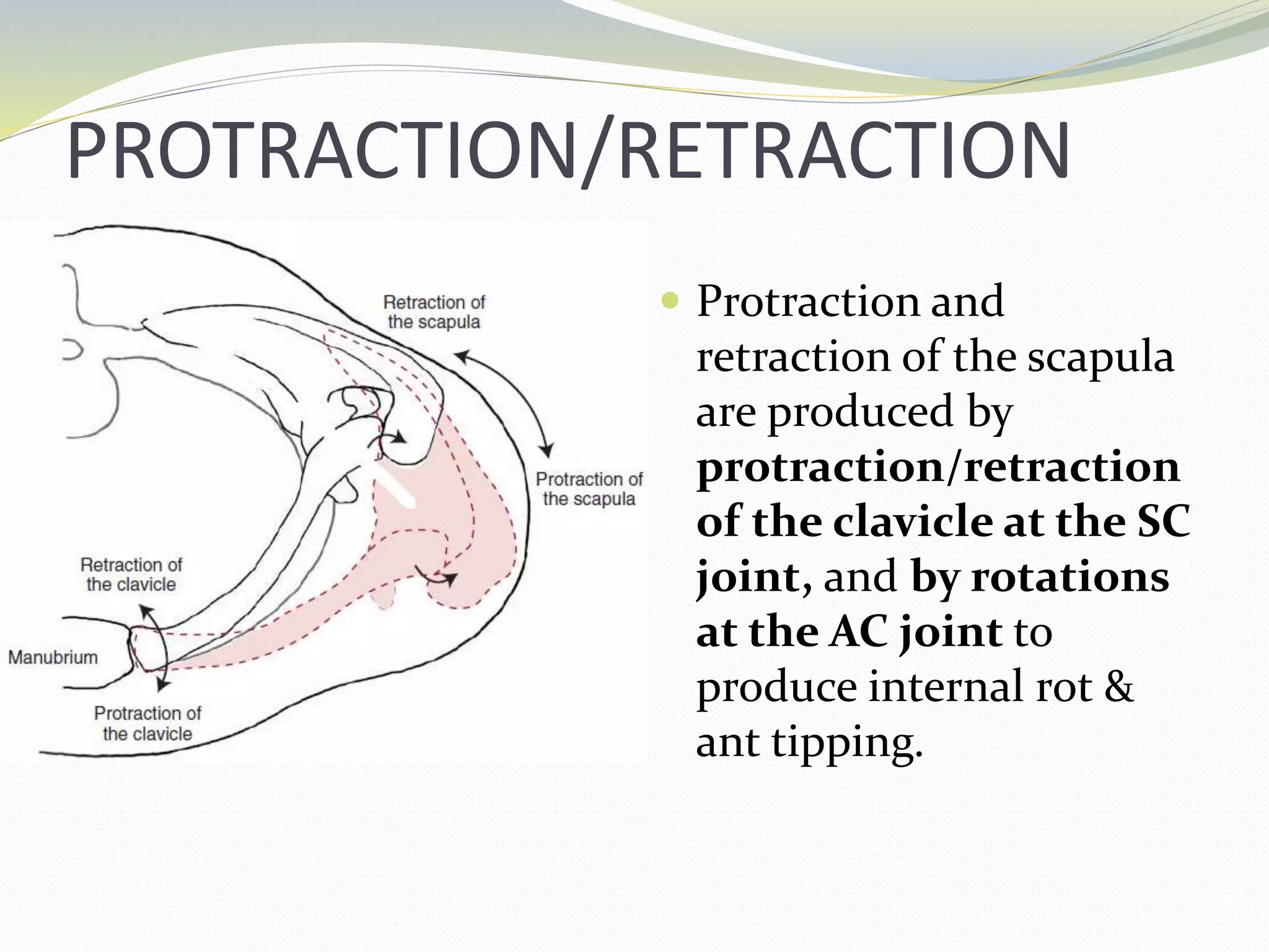 Biomechanics of shoulder complex | PPTX