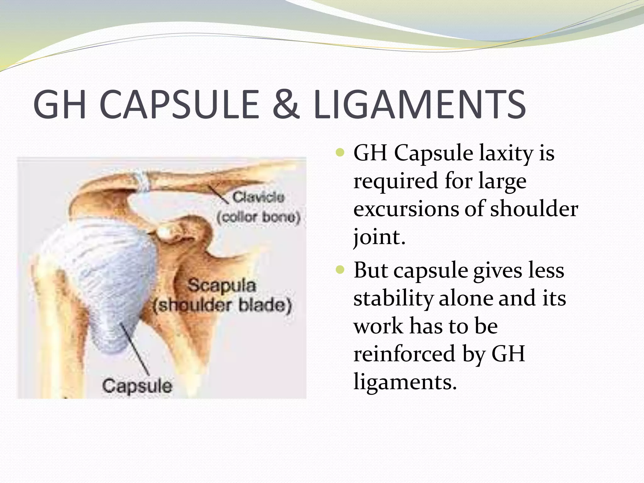 Biomechanics of shoulder complex | PPTX