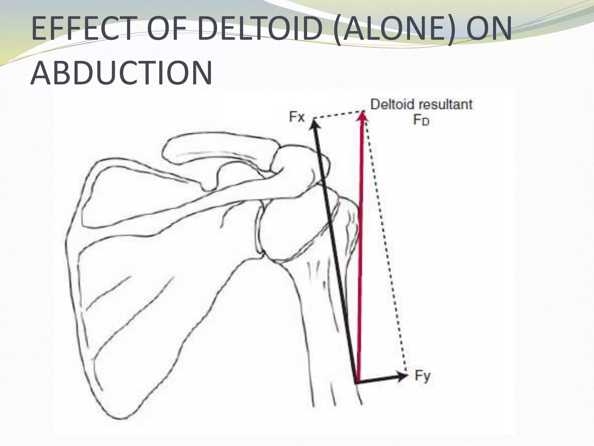 Biomechanics of shoulder complex | PPTX
