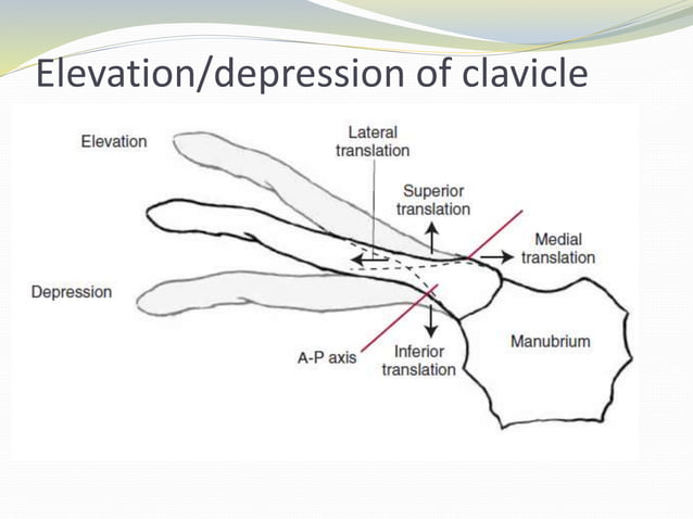 Biomechanics of shoulder complex | PPTX | Death, Injury, or Military ...