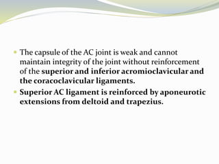 Biomechanics of shoulder complex | PPTX