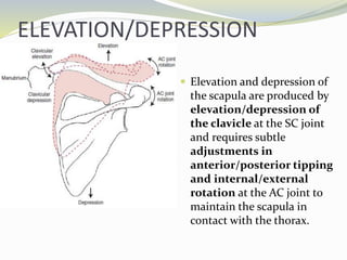 Biomechanics of shoulder complex | PPTX