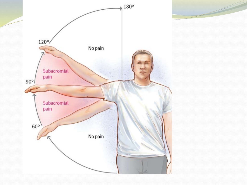 Biomechanics of shoulder complex