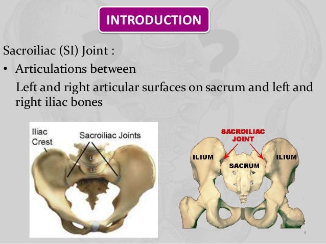 Biomechanics of si joint