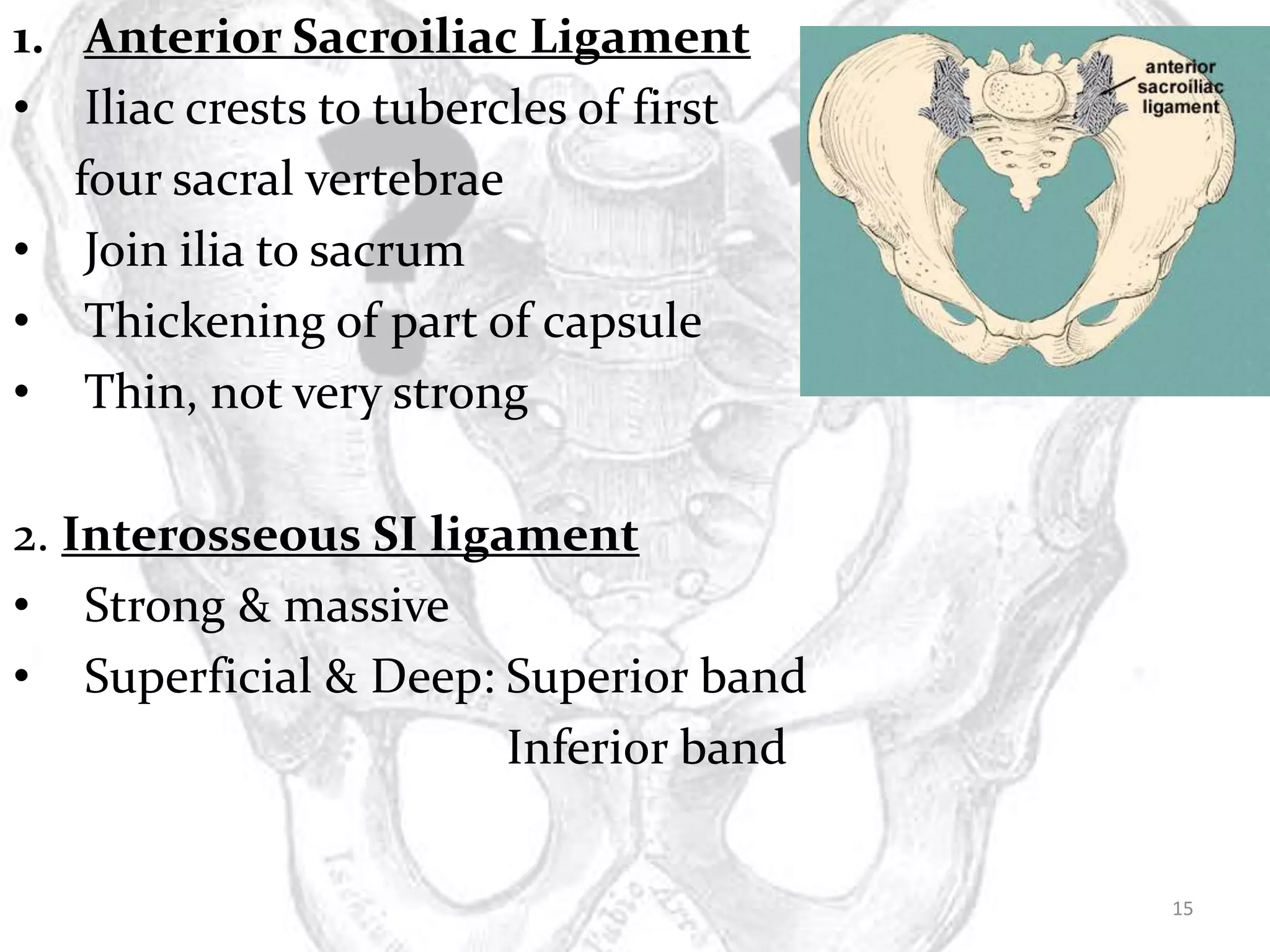 Biomechanics of si joint | PPTX