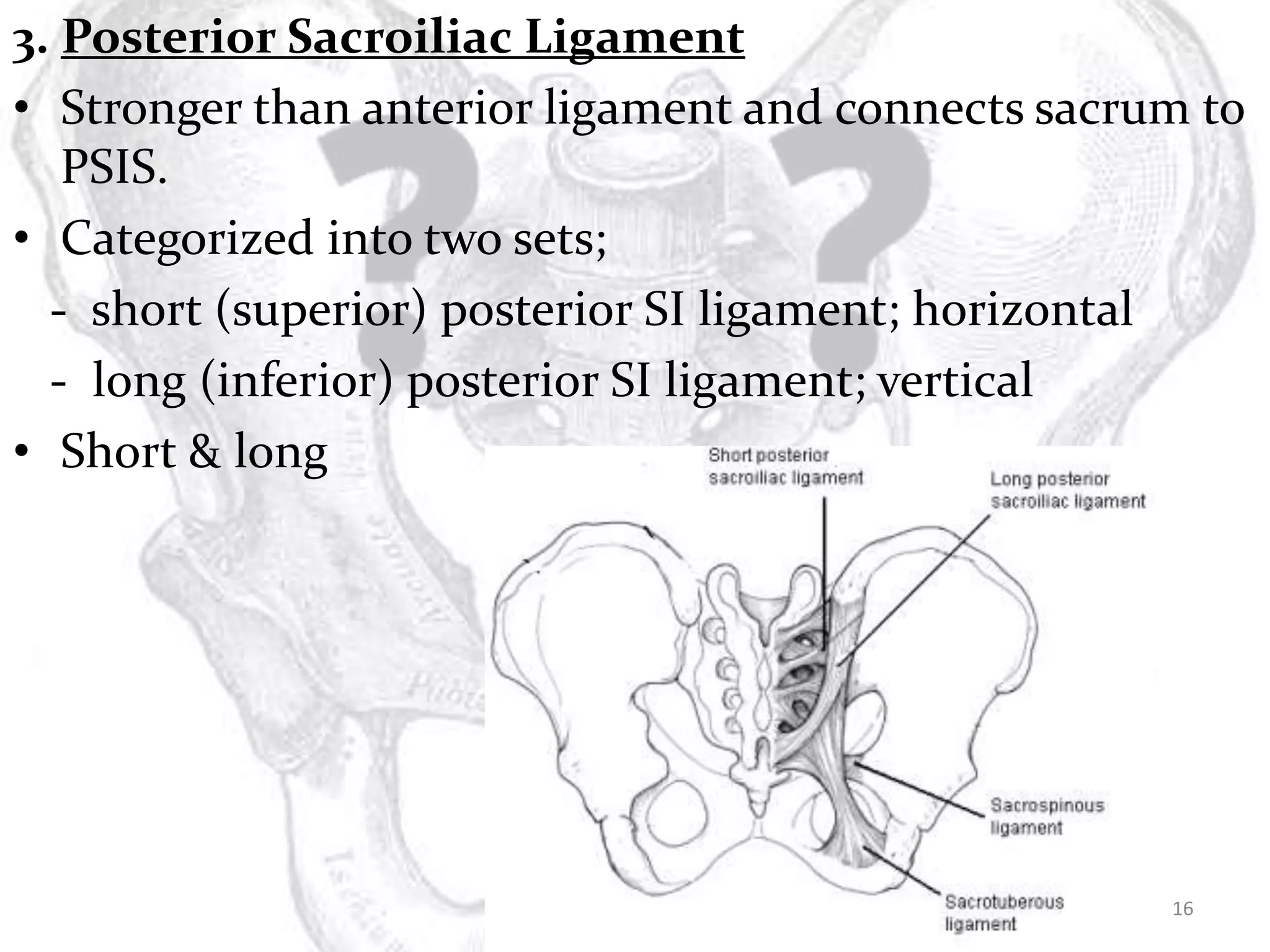 Biomechanics of si joint | PPTX